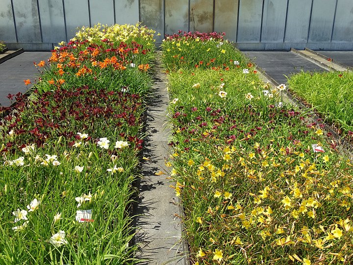 Een blik op onze kwekerij op vasteplant.be