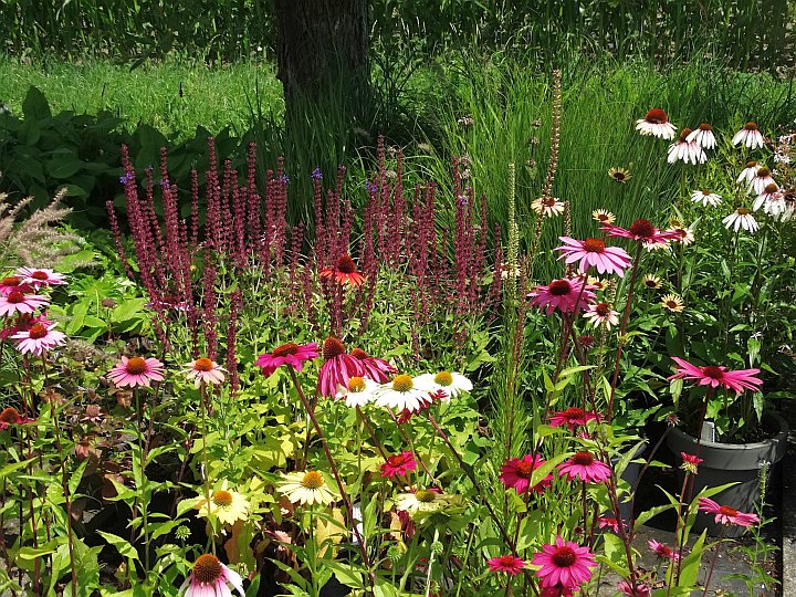 Een blik op onze kwekerij op vasteplant.be