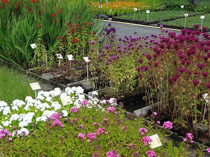 Een blik op onze kwekerij op vasteplant.be